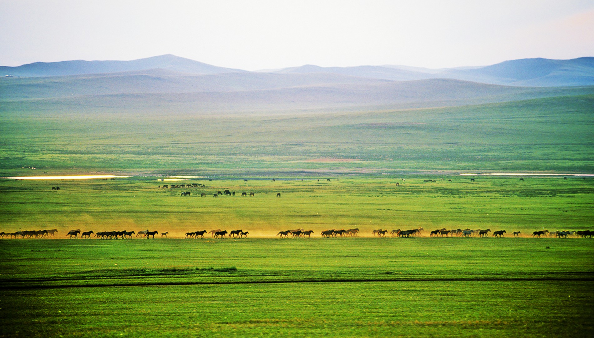 Gregor M. Schmid , Gregor M. Schmid